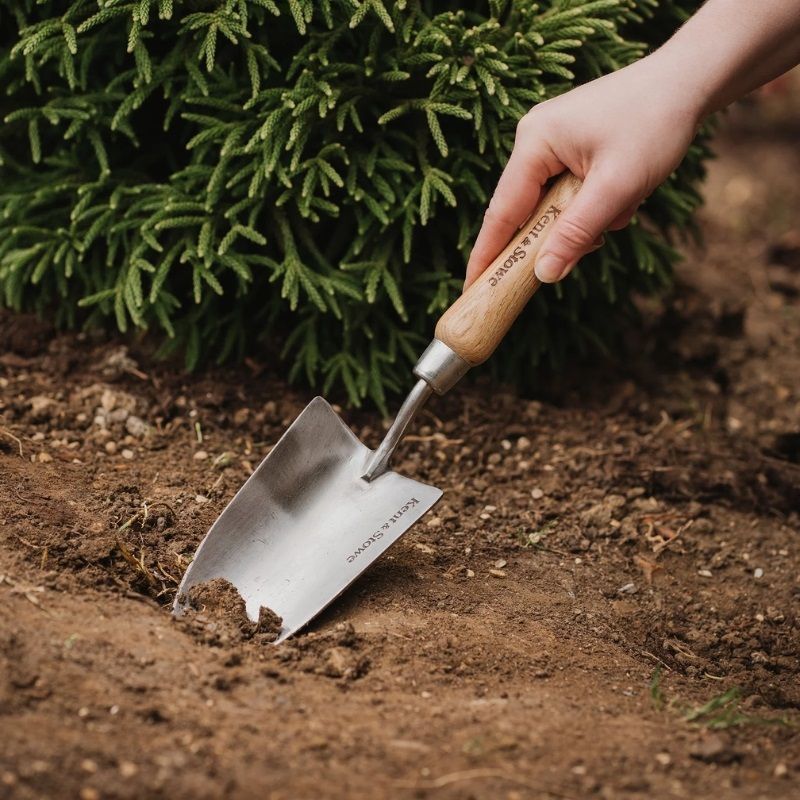 Kent & Stowe Stainless Steel Hand Trowel - Cultivation Tools ...