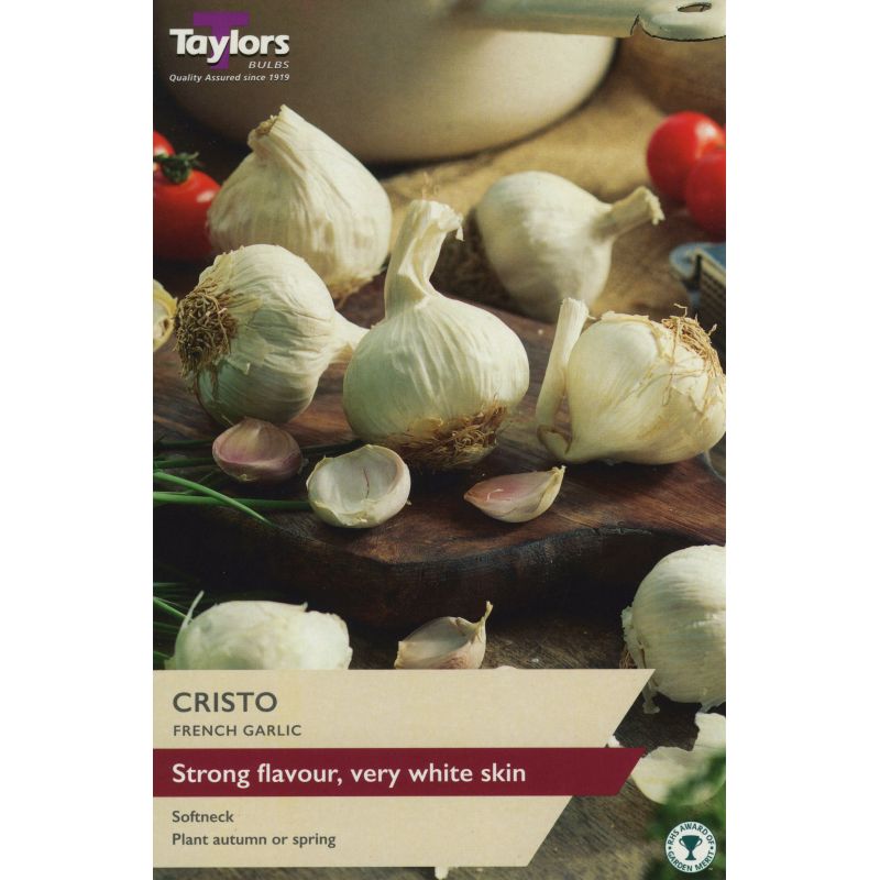 Taylors French Garlic Cristo - Vegetable Bulbs - Arboretum Garden Centre