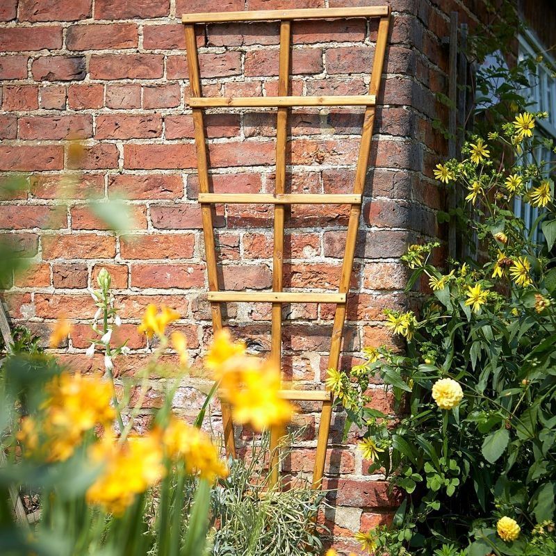 Tom Chambers Prestige Wooden Fan Trellis - 180cm x 60cm - Plant Support ...