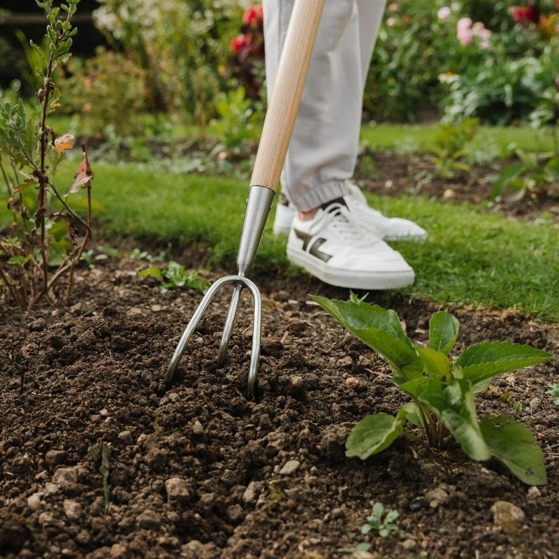 Kent & Stowe Stainless Steel Long-Handled 3 Prong Cultivator ...