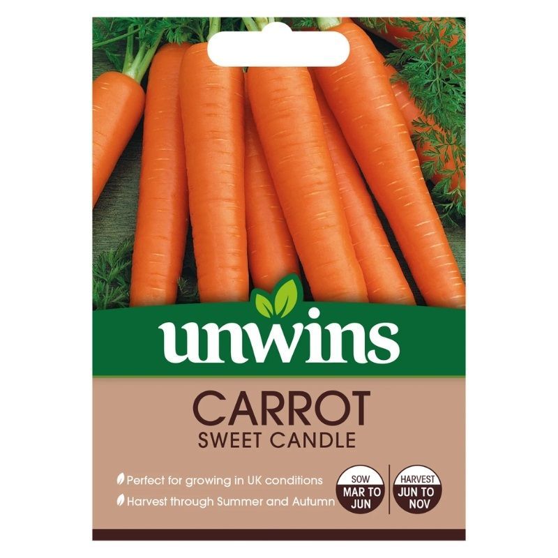 Unwins Carrot Sweet Candle - Vegetable Seeds - Arboretum Garden Centre