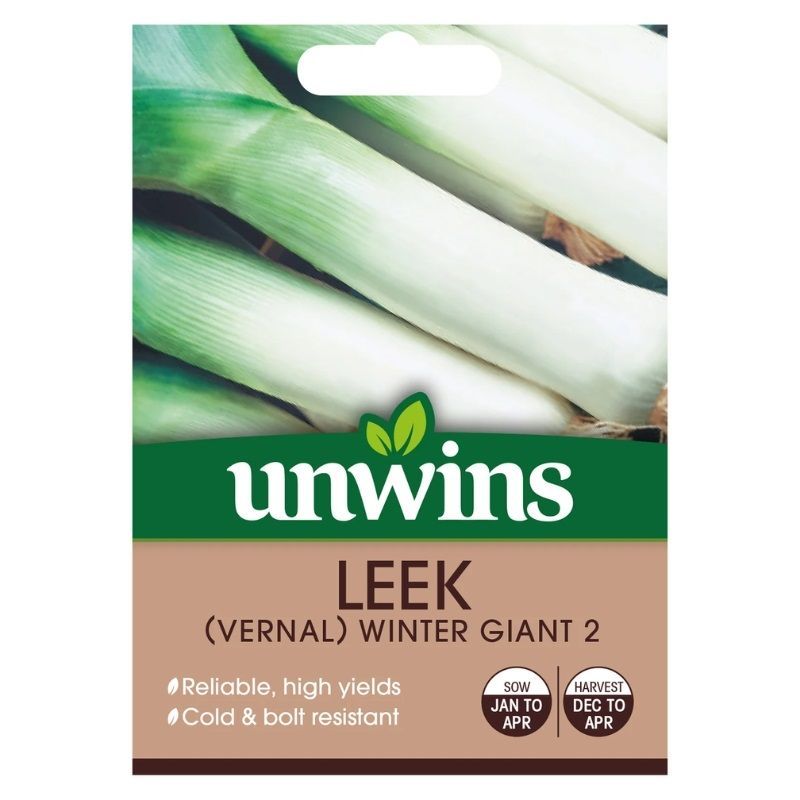 Unwins Leek (Vernal) Winter Giant 2 - Vegetable Seeds - Arboretum ...