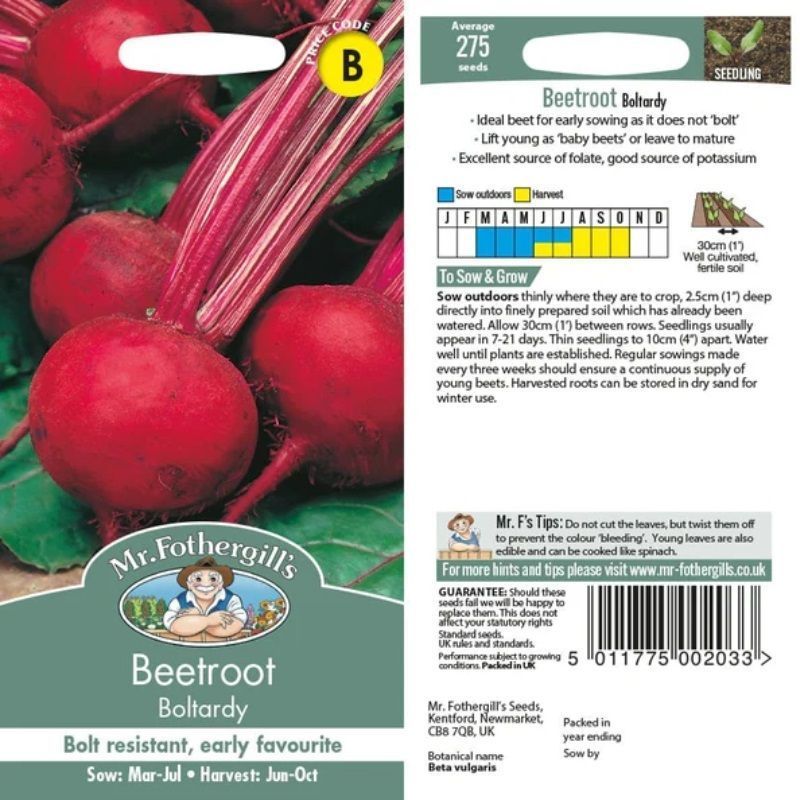 Mr Fothergill's Beetroot Boltardy - Vegetable Seeds - Arboretum Garden ...