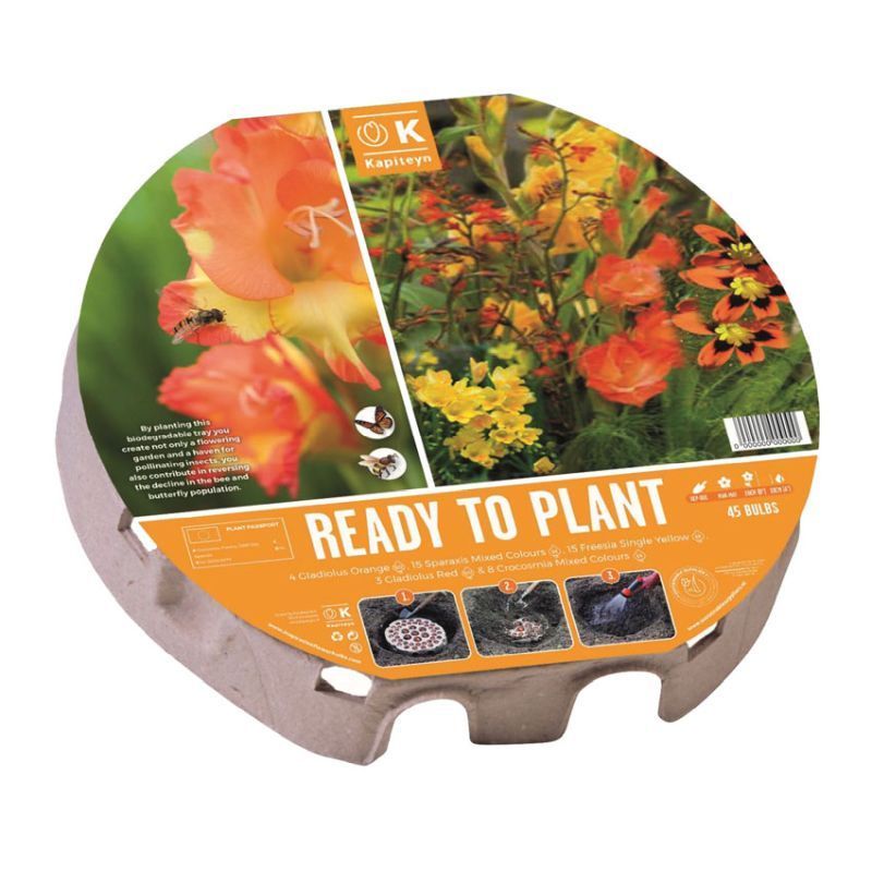 Kapiteyn Urban Gardening - Ready-to-Plant Wild Blooms Tray (Dig, Drop ...