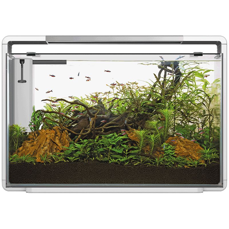 Home 110 Aquarium - White - Hollybush