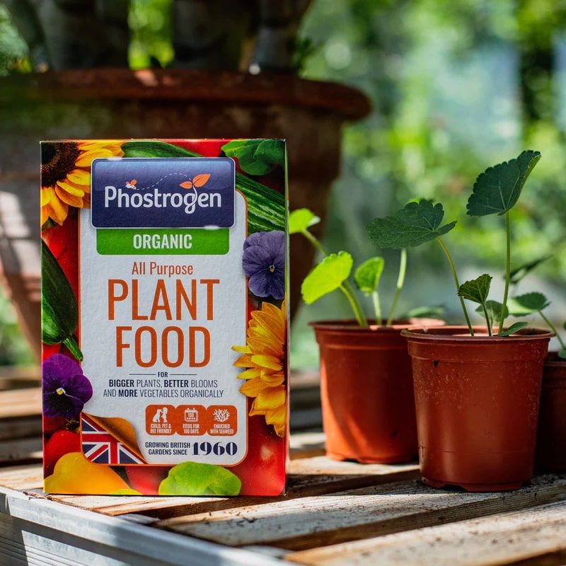 Phostrogen All Purpose Organic Plant Food 800g - Hollybush