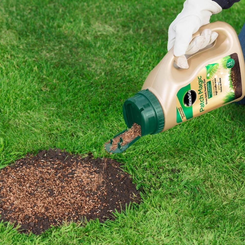 Patch grass seed store