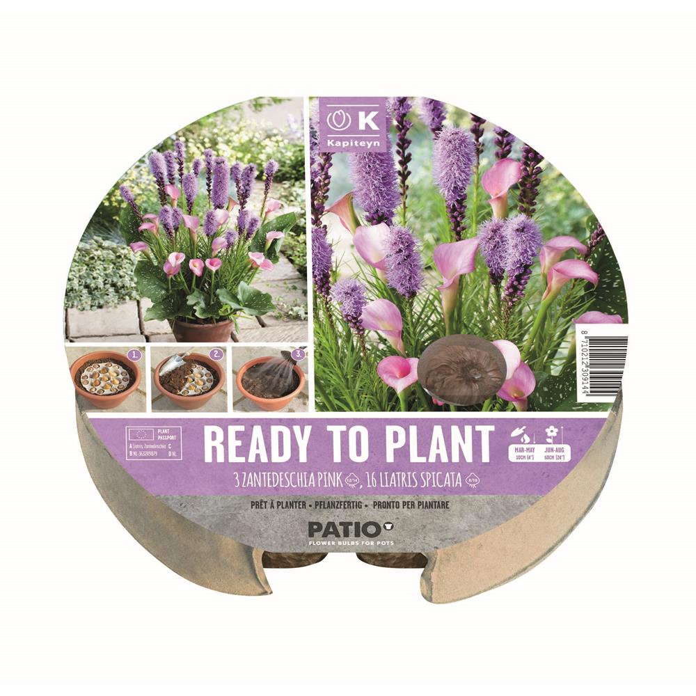 Plant-O-Mat arrangement Pink and Violet - Summer Bulbs - Polhill Garden ...