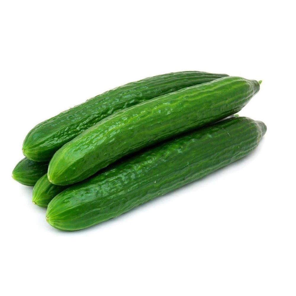 Cucumber Ridge Perfection 8.5cm Pot - [ERROR] 'category' record not ...