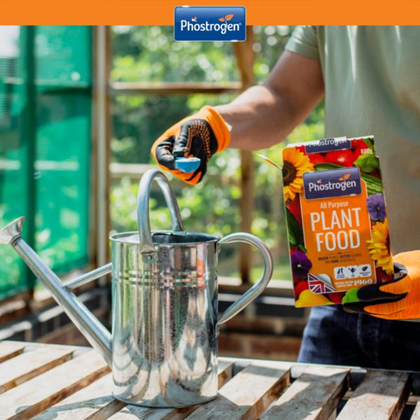 Phostrogen All Purpose Organic Plant Food - Organic Fertiliser ...