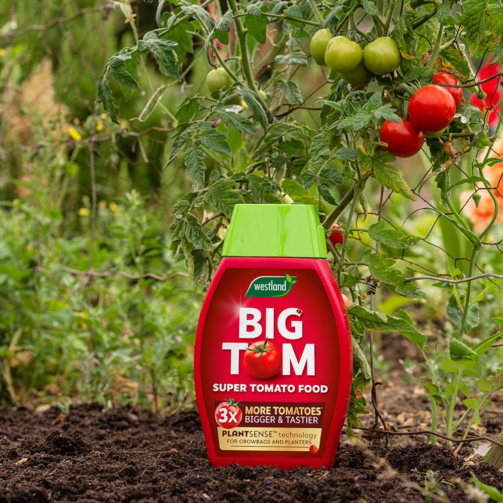 Westland Big Tom Tomato Food 1L - Tomato & Vegetable Feed - Polhill ...